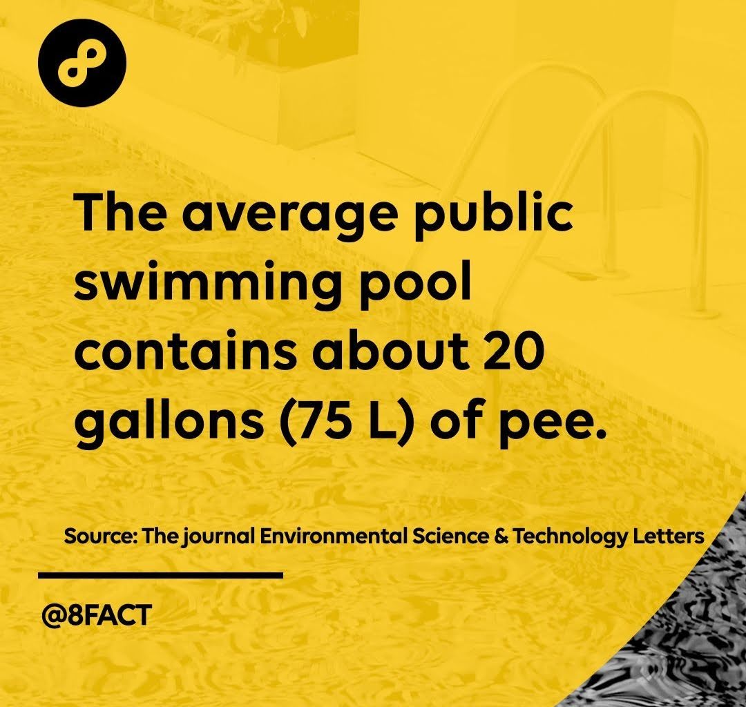 The Average Public Swimming Pool Contains About 20 gallons of Pee - Simpl